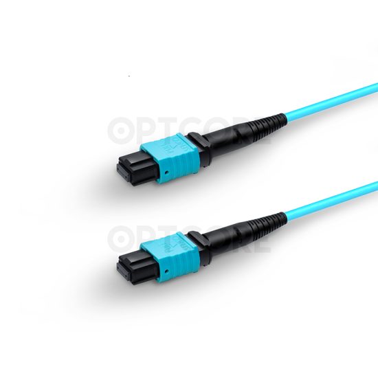 12 Fiber 10G OM3 MPO Trunk Cable,Female,Type B,LSZH