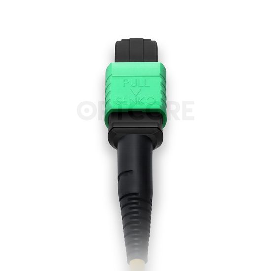 12 Fiber Singlemode OS2 MPO Fiber Trunk Cable,Female,Type B,LSZH