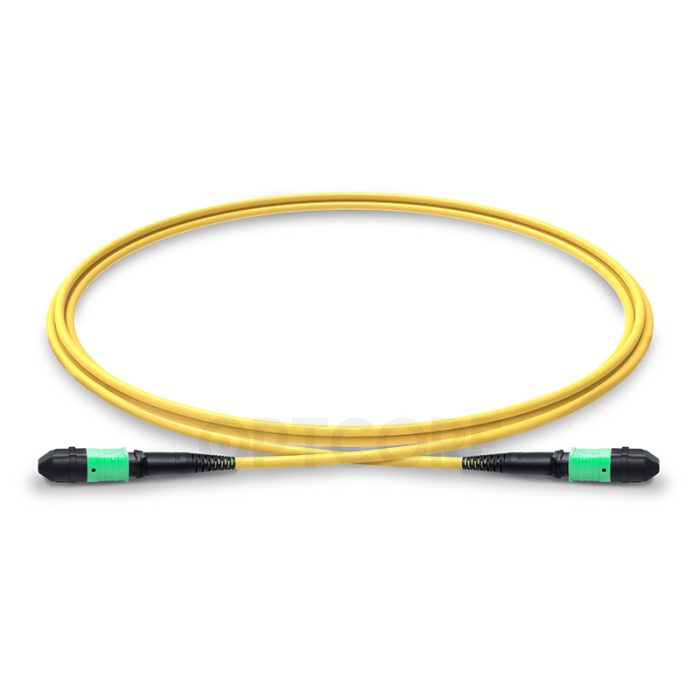 12 Fiber Singlemode OS2 MPO Fiber Trunk Cable,Female,Type B,LSZH
