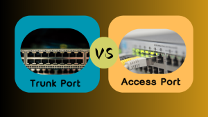 Trunk Port vs Access Port: Understanding the Key Differences